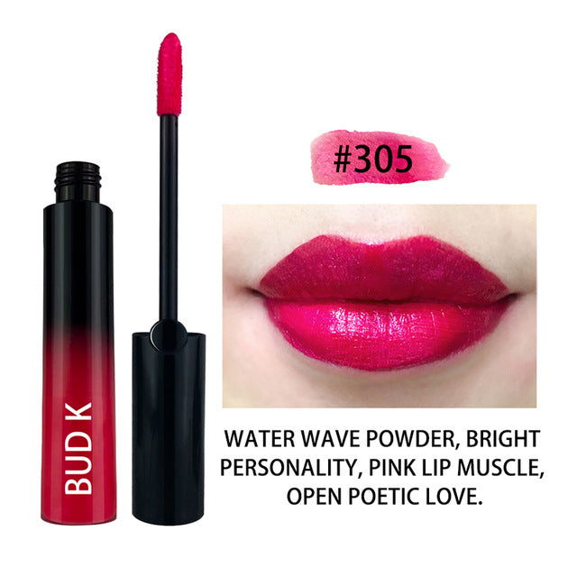 Lip Stick Glaze – BUD K Beauty